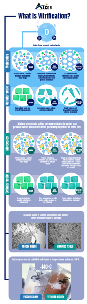 Intro to Cryonics - Alcor Life Extension Foundation
